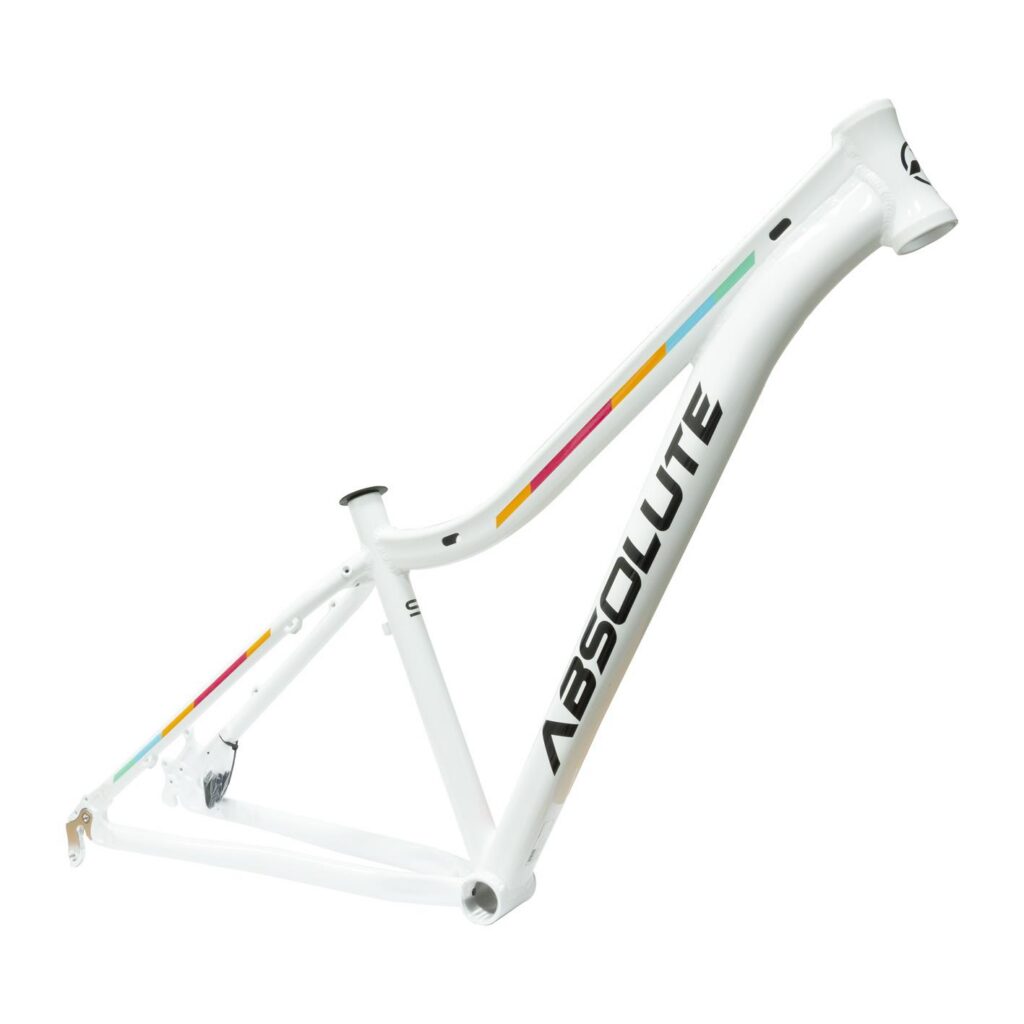 QUADRO 29 MTB ABSOLUTE NERO 5 - Absolute Bikes