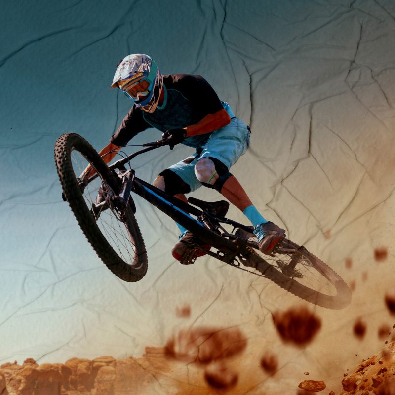 Wild - Absolute Bikes